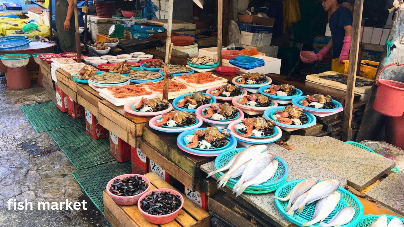 Jagalchi Fish Market Busan Korea: Ultimate Visitor Guide - Jagalchi